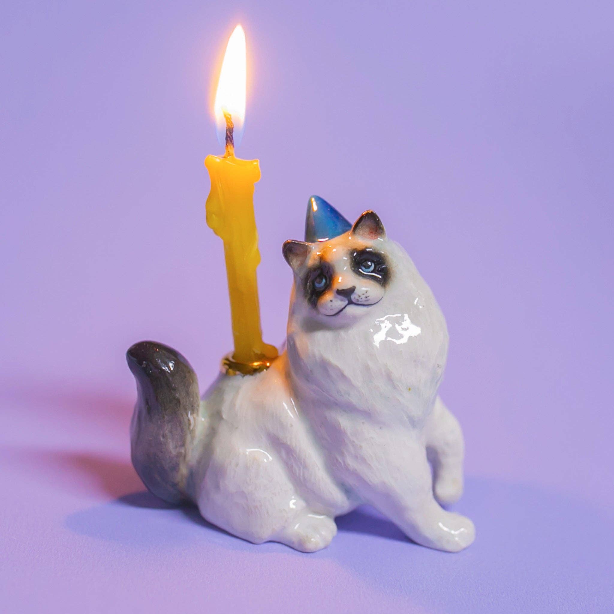 Ragdoll Cat Cake Topper – Forgotten Room Shop